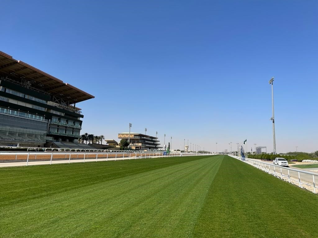 How to grow a natural turf racetrack in the desert - STRI Group marks ...